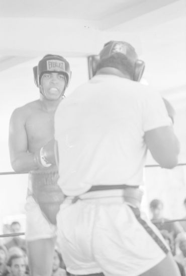 Professional Boxer Muhammad Ali Engaged Practice Editorial Stock Photo ...