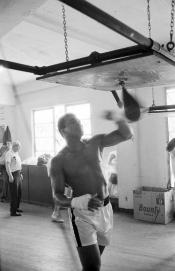 Professional Boxer Muhammad Ali Practicing Speed Editorial Stock Photo ...