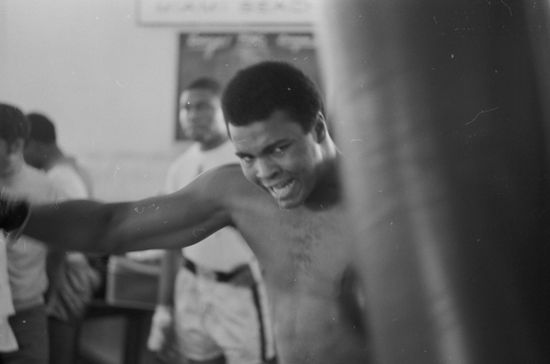 Professional Boxer Muhammad Ali Practicing Punching Editorial Stock ...