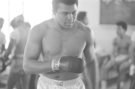 Professional Boxer Muhammad Ali Practicing Punching Editorial Stock ...