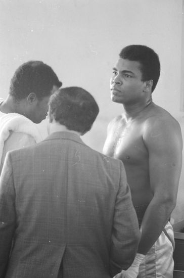 Professional Boxer Muhammad Ali Standing Boxing Editorial Stock Photo ...