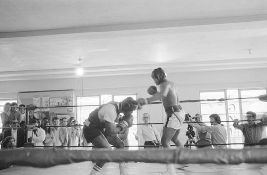 Professional Boxer Muhammad Ali Engaged Practice Editorial Stock Photo ...