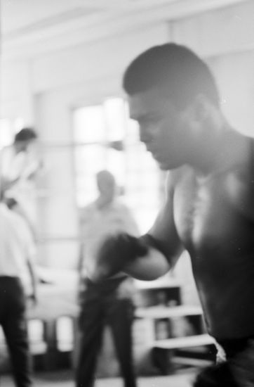 Professional Boxer Muhammad Ali Practicing Chris Editorial Stock Photo ...