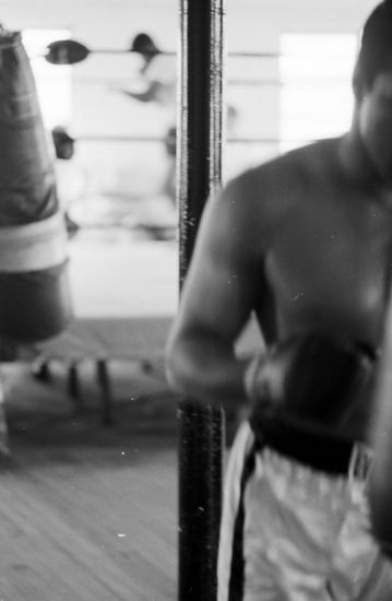 Professional Boxer Muhammad Ali Practicing Chris Editorial Stock Photo ...
