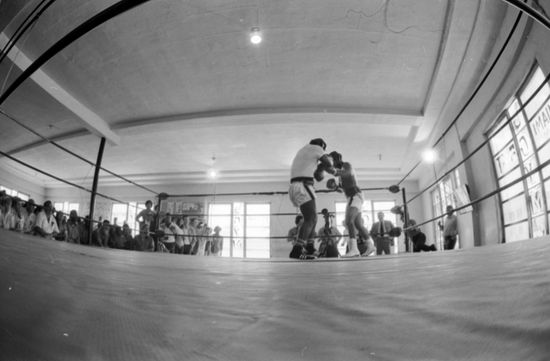 Professional Boxer Muhammad Ali Engaged Practice Editorial Stock Photo ...