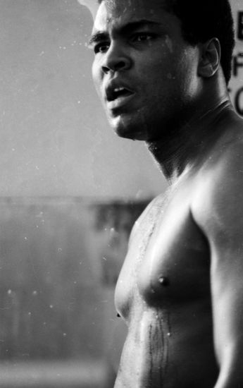 Picture Professional Boxer Muhammad Ali During Editorial Stock Photo ...