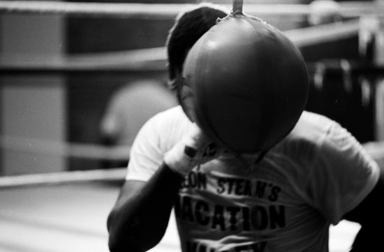 Professional Boxer World Heavyweight Champion Joe Editorial Stock Photo ...