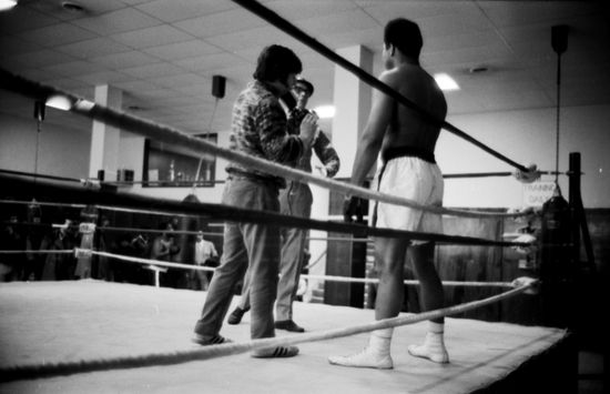 Professional Boxer Muhammad Ali Posing Picture Editorial Stock Photo ...