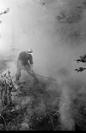 Paris Firefighter Beating Flames Violent Wildfire Editorial Stock Photo ...