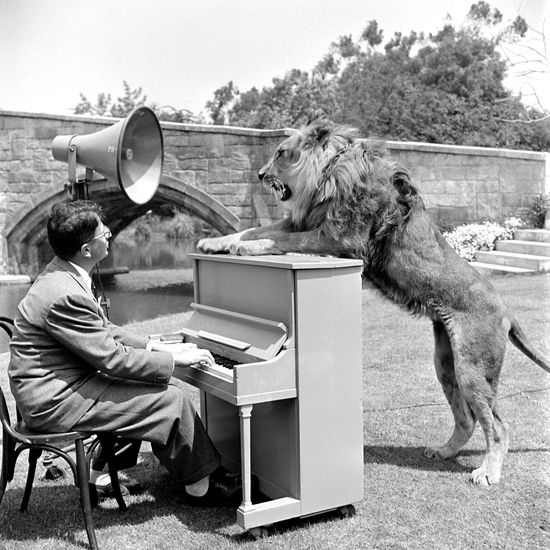 Mgm Associate Producer Sidney Franklin Jr Editorial Stock Photo - Stock ...