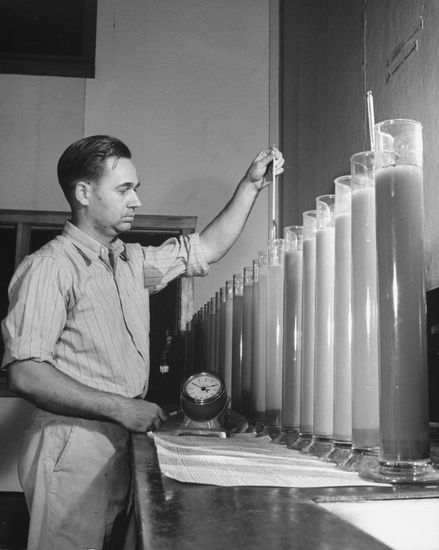 Geologist Sampling Silt Rio Grande Determine Editorial Stock Photo ...