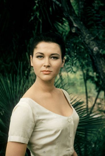 Portrait British American Actress Gia Scala Editorial Stock Photo ...