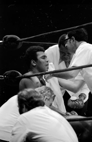 Professional Boxer Muhammad Ali Sitting His Editorial Stock Photo ...