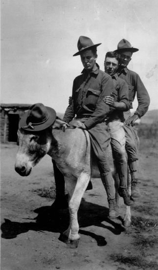 Men Riding Donkey During Mexican Expedition Editorial Stock Photo