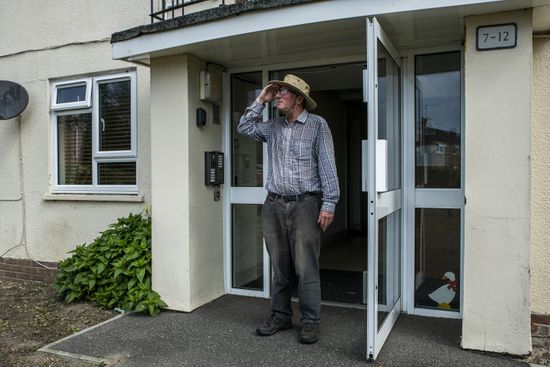 Robin Edmonds On Lookout Vindictive Seagull Editorial Stock Photo ...