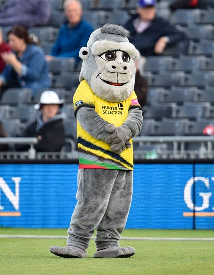 Gloucestershires Mascot Alfred Gorilla During Vitality Editorial Stock ...