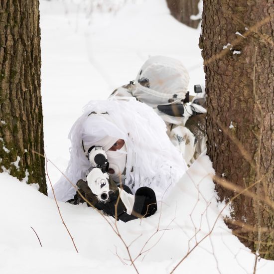 Snipers Position Between Trees During Sniper Editorial Stock Photo ...
