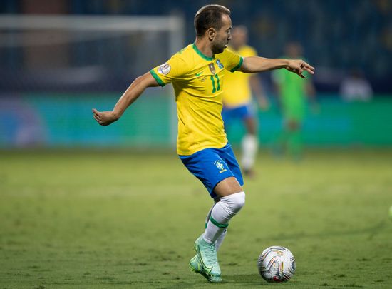 Ribeiro Brazil Pedro Ludovico Teixeira Stadium Editorial Stock Photo ...