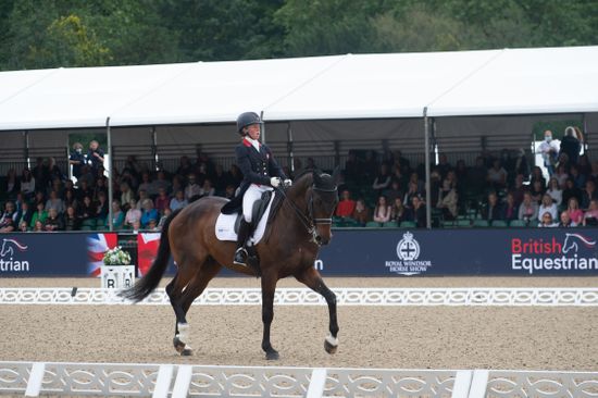 Ros Canter Rides Allstar B Known Editorial Stock Photo - Stock Image ...