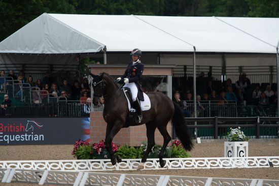 Laura Tomlinson Rides Black Mare Dsp Editorial Stock Photo - Stock ...