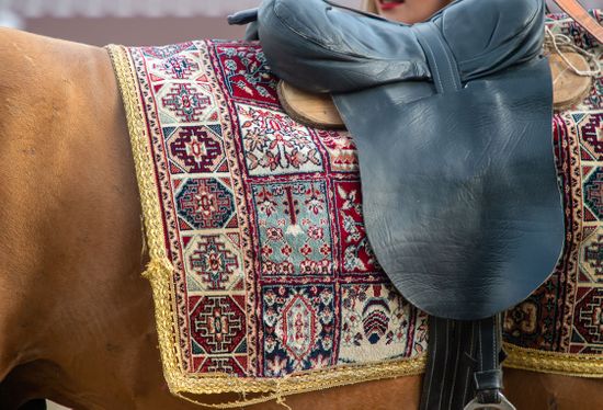 Guests Were Giving Display Thrilling Dare Editorial Stock Photo - Stock ...