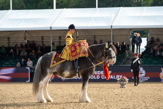 Musical Ride Household Cavalry Mounted Regiment Editorial Stock Photo ...