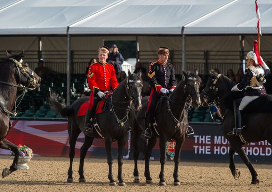 Musical Ride Household Cavalry Mounted Regiment Editorial Stock Photo ...