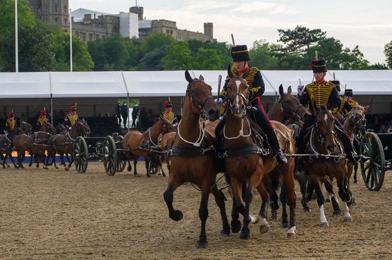 Musical Drive Kings Troop Royal Horse Editorial Stock Photo - Stock ...