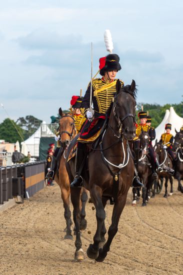 Musical Drive Kings Troop Royal Horse Editorial Stock Photo - Stock ...