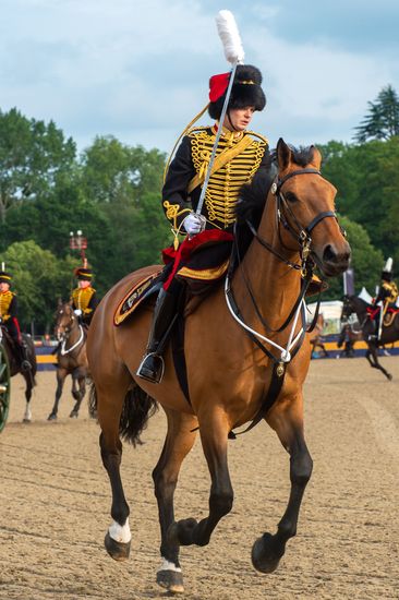 Musical Drive Kings Troop Royal Horse Editorial Stock Photo - Stock ...