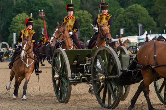 Musical Drive Kings Troop Royal Horse Editorial Stock Photo - Stock ...