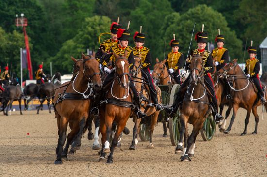 Musical Drive Kings Troop Royal Horse Editorial Stock Photo - Stock ...