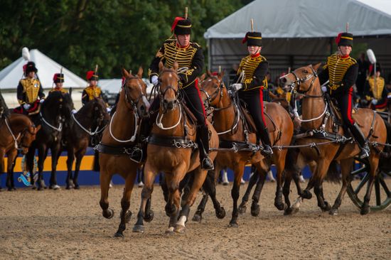 Musical Drive Kings Troop Royal Horse Editorial Stock Photo - Stock ...