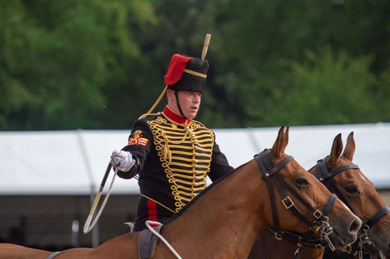 Musical Drive Kings Troop Royal Horse Editorial Stock Photo - Stock ...