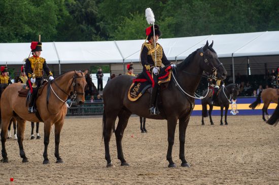 Musical Drive Kings Troop Royal Horse Editorial Stock Photo - Stock ...