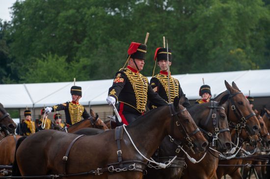 Musical Drive Kings Troop Royal Horse Editorial Stock Photo - Stock ...