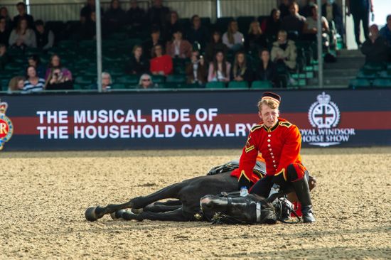 Musical Ride Household Cavalry Mounted Regiment Editorial Stock Photo ...