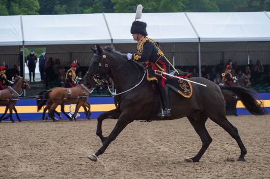 Musical Drive Kings Troop Royal Horse Editorial Stock Photo - Stock ...