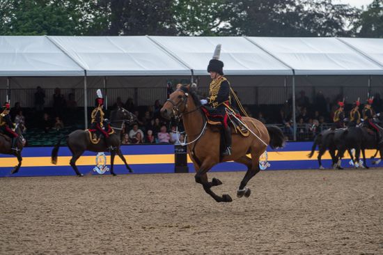 Musical Drive Kings Troop Royal Horse Editorial Stock Photo - Stock ...