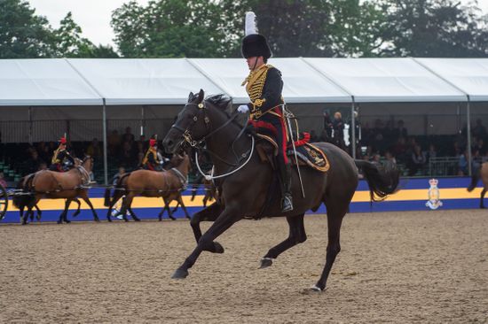 Musical Drive Kings Troop Royal Horse Editorial Stock Photo - Stock ...