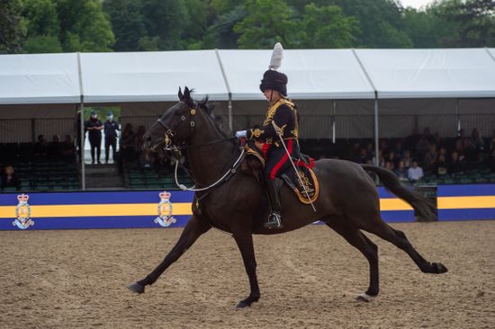 Musical Drive Kings Troop Royal Horse Editorial Stock Photo - Stock ...