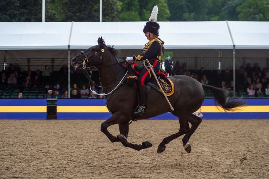 Musical Drive Kings Troop Royal Horse Editorial Stock Photo - Stock ...