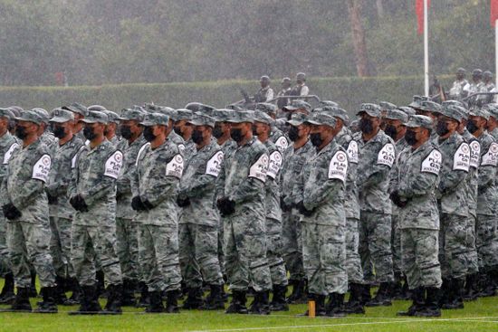 Groups Battalions Mexican Army Including Canine Editorial Stock Photo ...