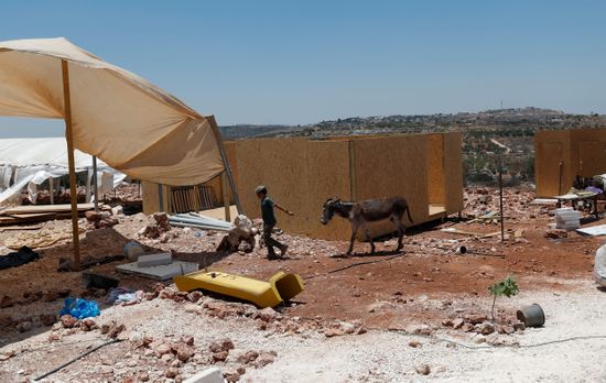 Israeli Settler Drags Donkey Settlers Illegal Editorial Stock Photo ...