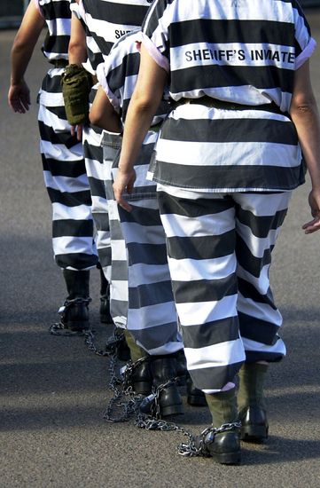 Female Chain Gang Prisoners Maricopa County Editorial Stock Photo ...