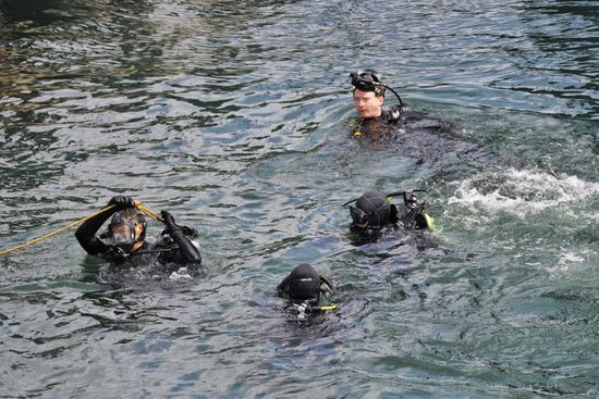 Divers Float On Surface Water During Editorial Stock Photo - Stock ...