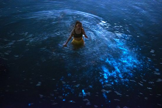 Woman Splashing Sea Appears Have Mermaids Editorial Stock Photo - Stock ...