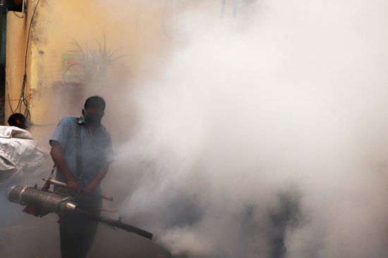 Fumigation Work Underway By Corporation Residential Editorial Stock ...