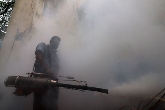 Fumigation Work Underway By Corporation Residential Editorial Stock ...