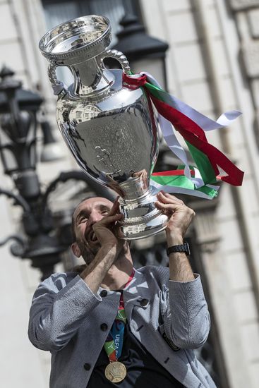 Captain Italian National Soccer Team Giorgio Editorial Stock Photo ...